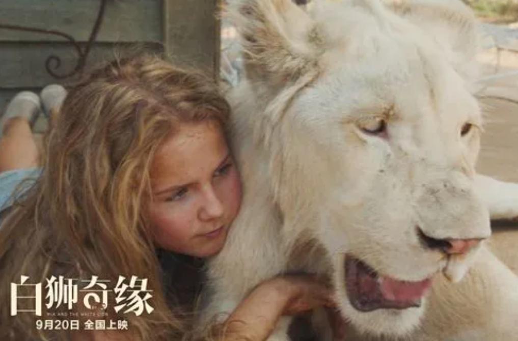 How does the relationship between the white lion and Cecil echo the ...
