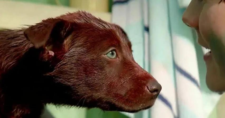 A heart-warming movie that heals people's hearts. In a world where ...