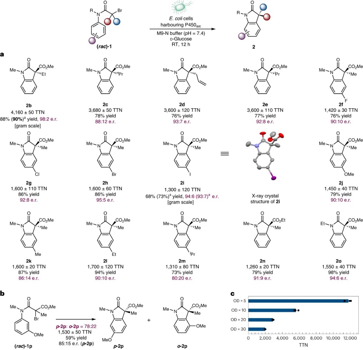 Nat. Catal. Cover: Metalloenzyme-catalyzed realization of racemic α ...