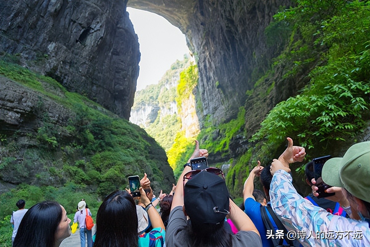 More than 30 foreign students came to Wulong to experience the scenery ...