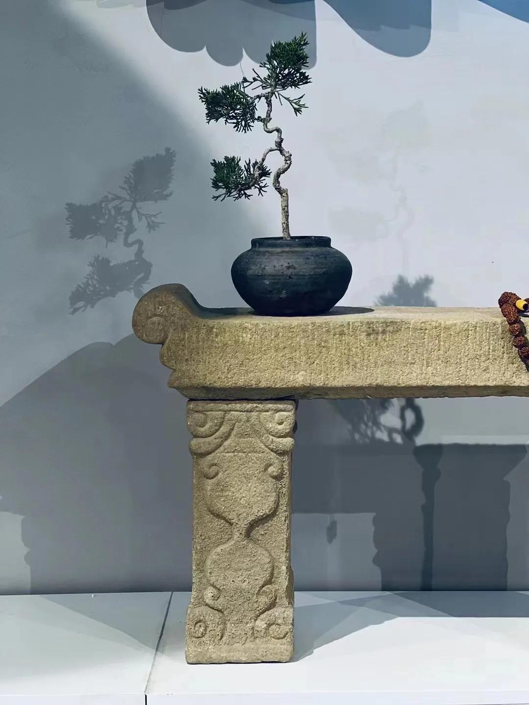 ~Small cases - iNEWS