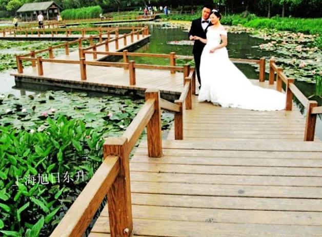 The water lilies next to the thousand-meter plank road in Minhang ...