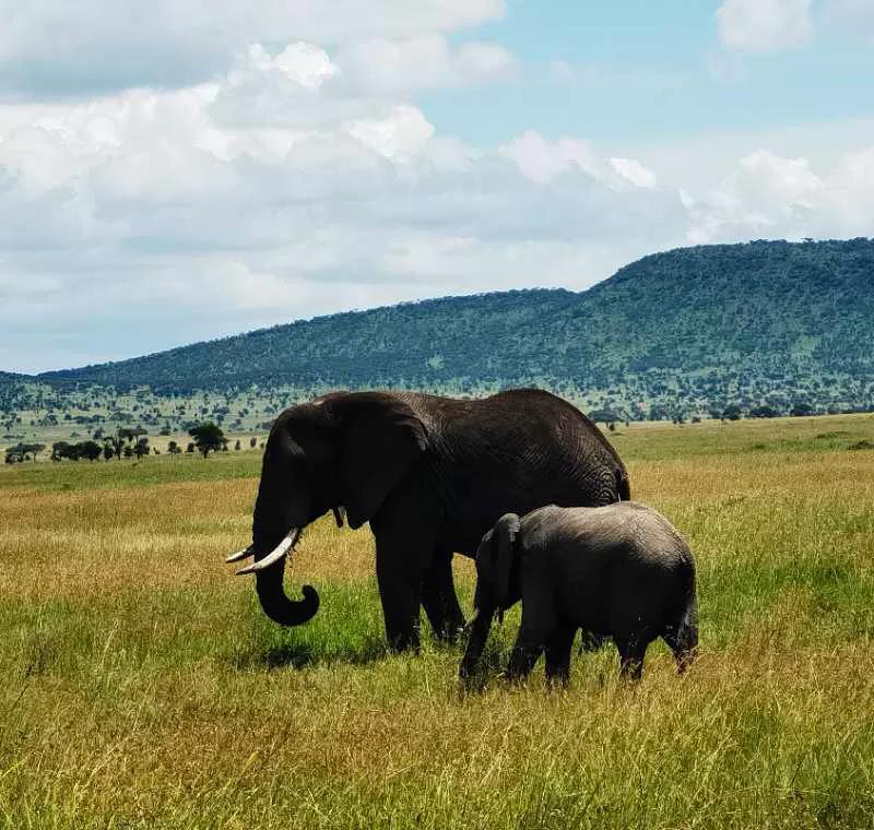 African scenery - iNEWS