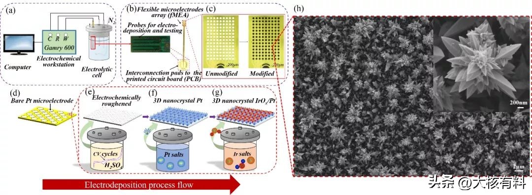 How to improve the high sensitivity of electrochemical reaction in the ...