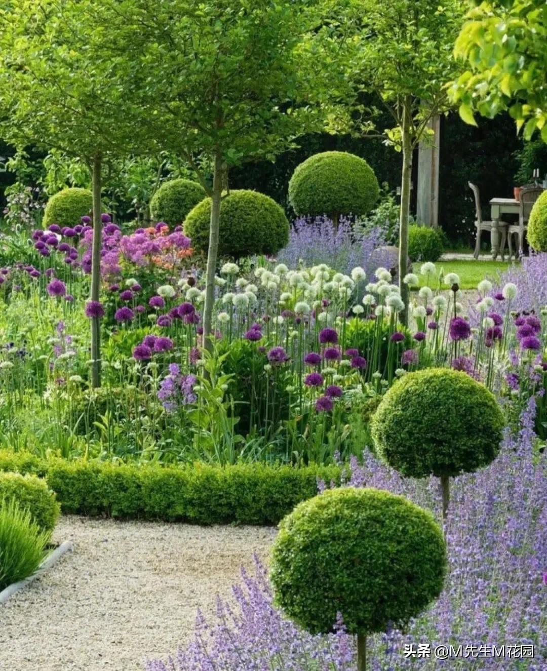 shape the tree - iMedia