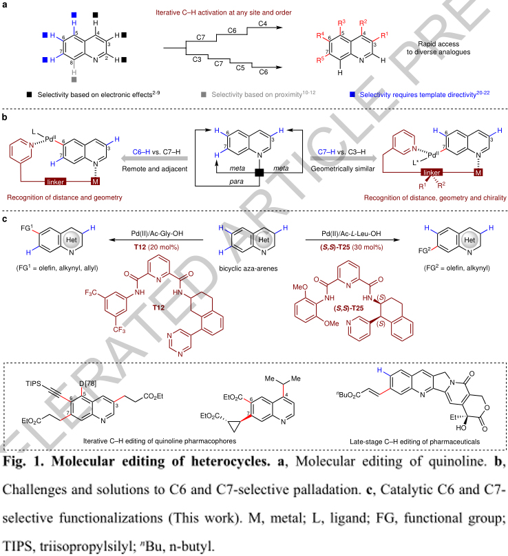 Molecular Editing of Distance, Geometry, and Chirality of Heteroarene C ...