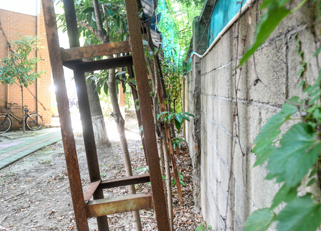 The 71 iron frames are almost unstoppable!This wall, everyone looks ...