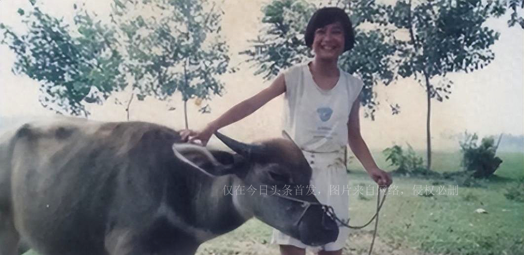 Jia Ling single-handedly tore away the "fig leaf" of famous Chinese ...