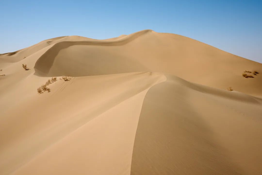 Take a business jet to Dunhuang, listen to Lang Lang's concert in the ...