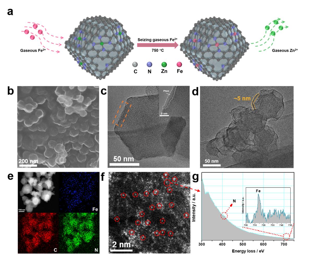 Surface Dense FeN4 Sites for High-Performance Proton Exchange Membrane ...