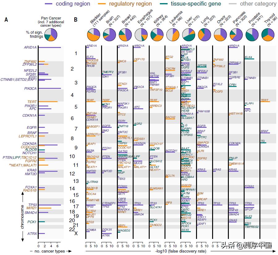 Science releases somatic noncoding mutation map covering 19 cancer ...