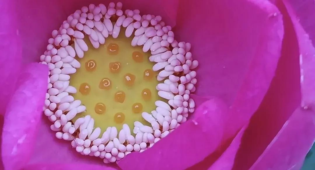 yearning for light - iNEWS