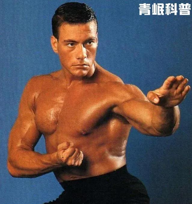 World's Best - Kung Fu Superstar Ranking - iNEWS