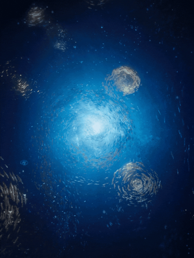 How spectacular is the starry sky under the sea in "The Lost She"? Li ...