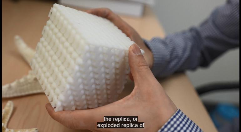 Chinese scholars research on the cover of Science: discovering ...