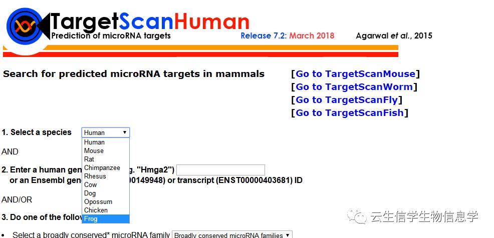 An online tool for predicting miRNA target genes - targetscan - iNEWS