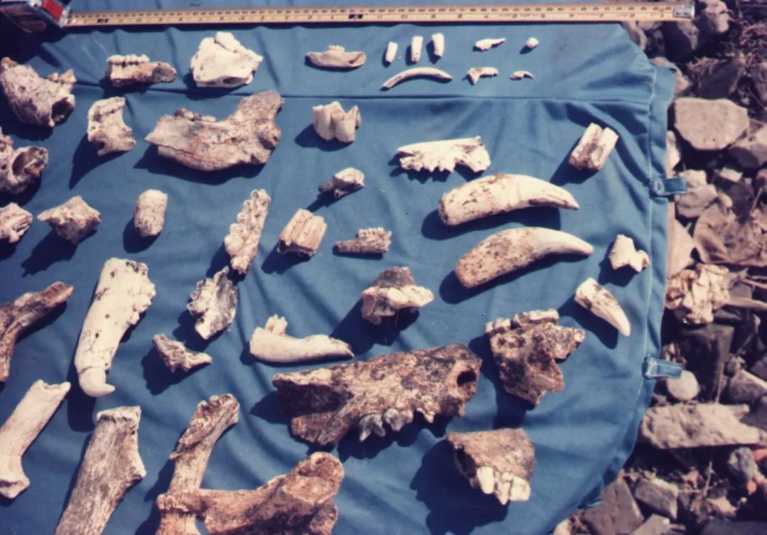 Suzhou Sanshan Island finds the source of Wu culture - iNEWS