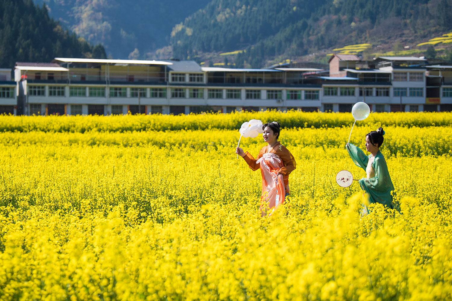 Go to the grand event of Bashan Chunhua together! Take you to enjoy ...