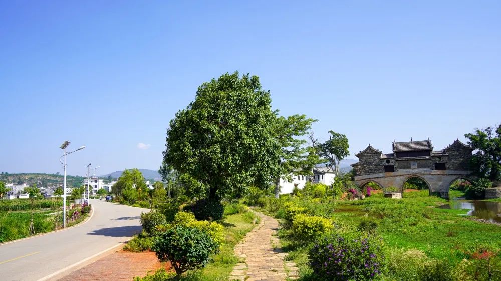 Green and beautiful roads dress up Jianshui scenery - iNEWS