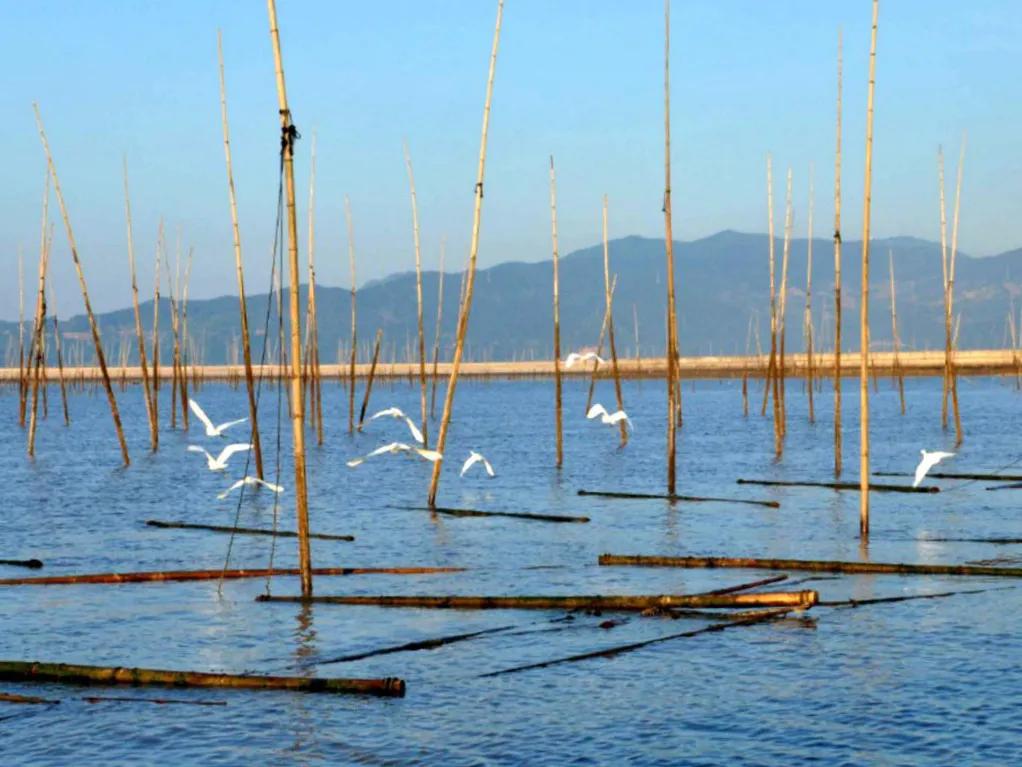 Traveling to the east of Fujian, wandering in Xiapu - iMedia