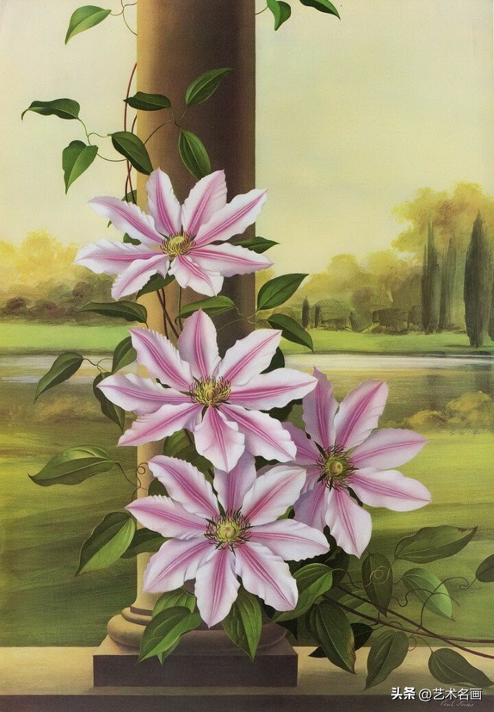 Australian Realistic Flowers︱Paul Jones Works - iNEWS
