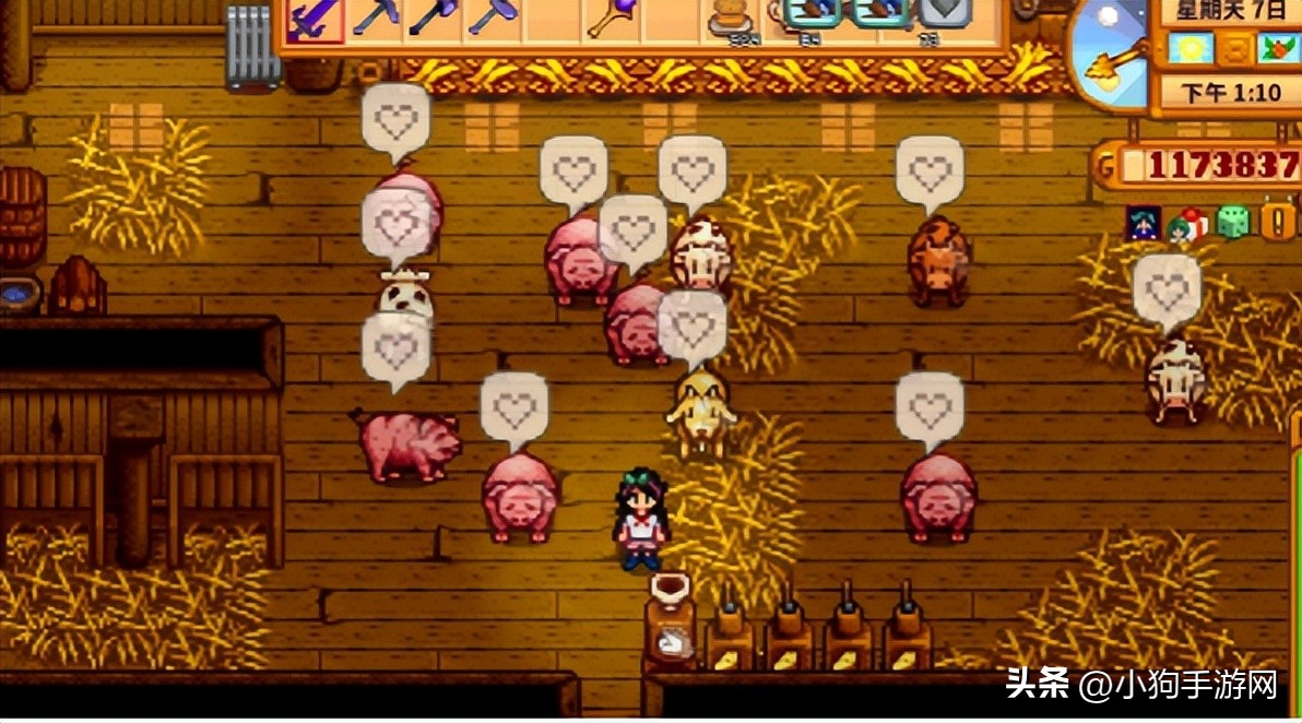 What is the overall revenue of the barn in Stardew Valley? - iNEWS