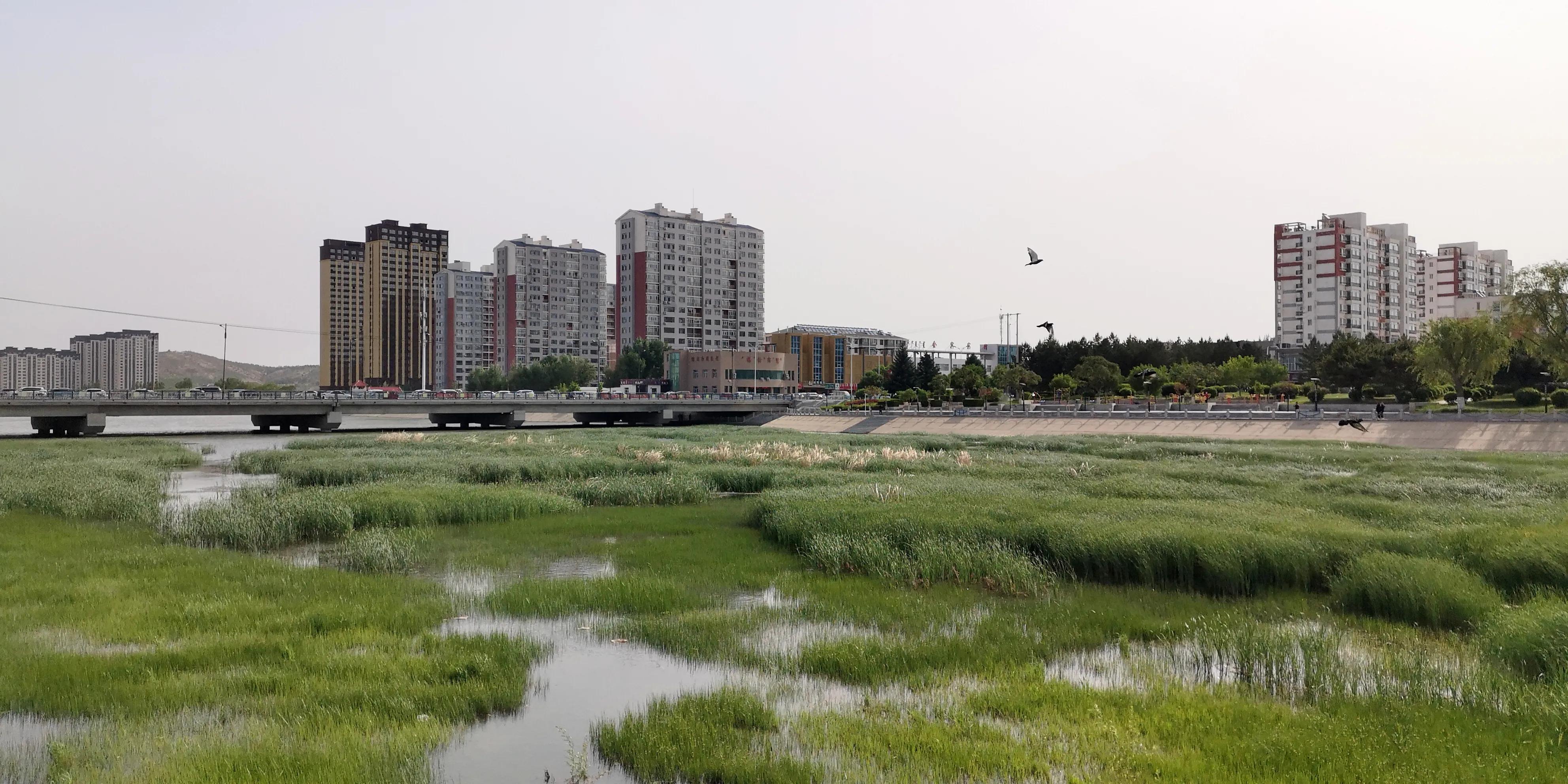 There is a small town called "Aohan Banner". - iMedia