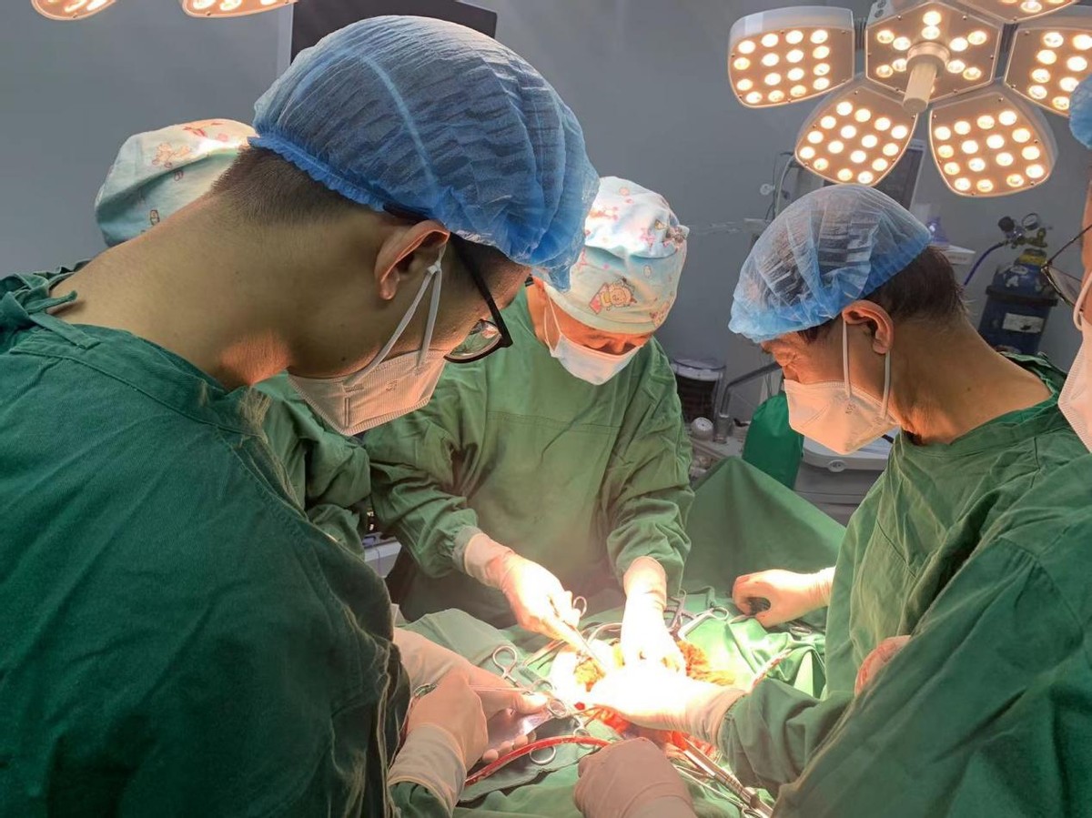 [Shoujia Surgery] Exquisite medical skills protect the health of ...