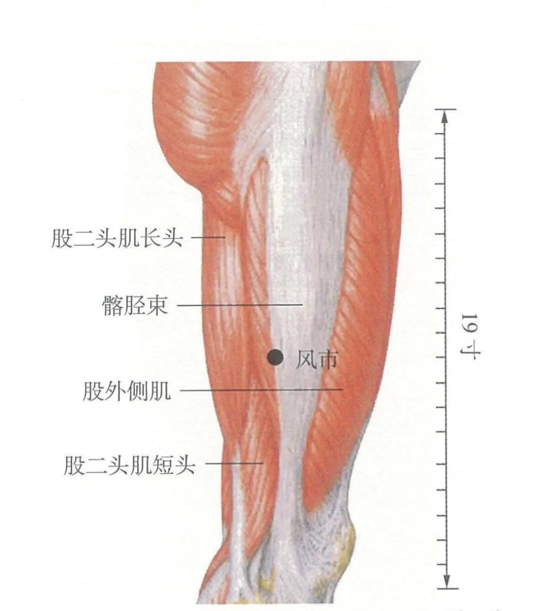 Acupuncture Points for Treating Wind Evil - iNEWS
