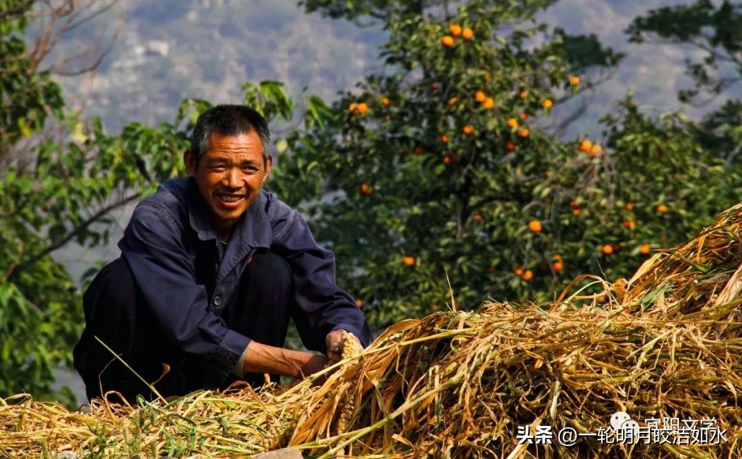 Jia Shequan/Three Flash Novels - iMedia