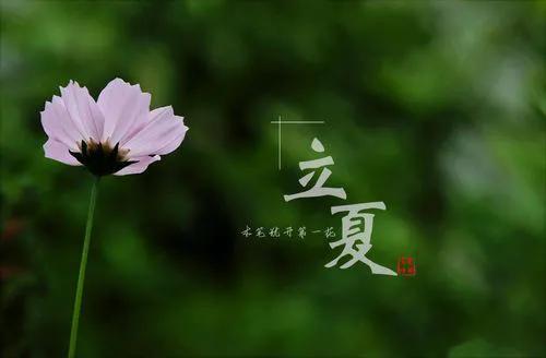 "Original" Wu Shushen //Lixia - iNEWS