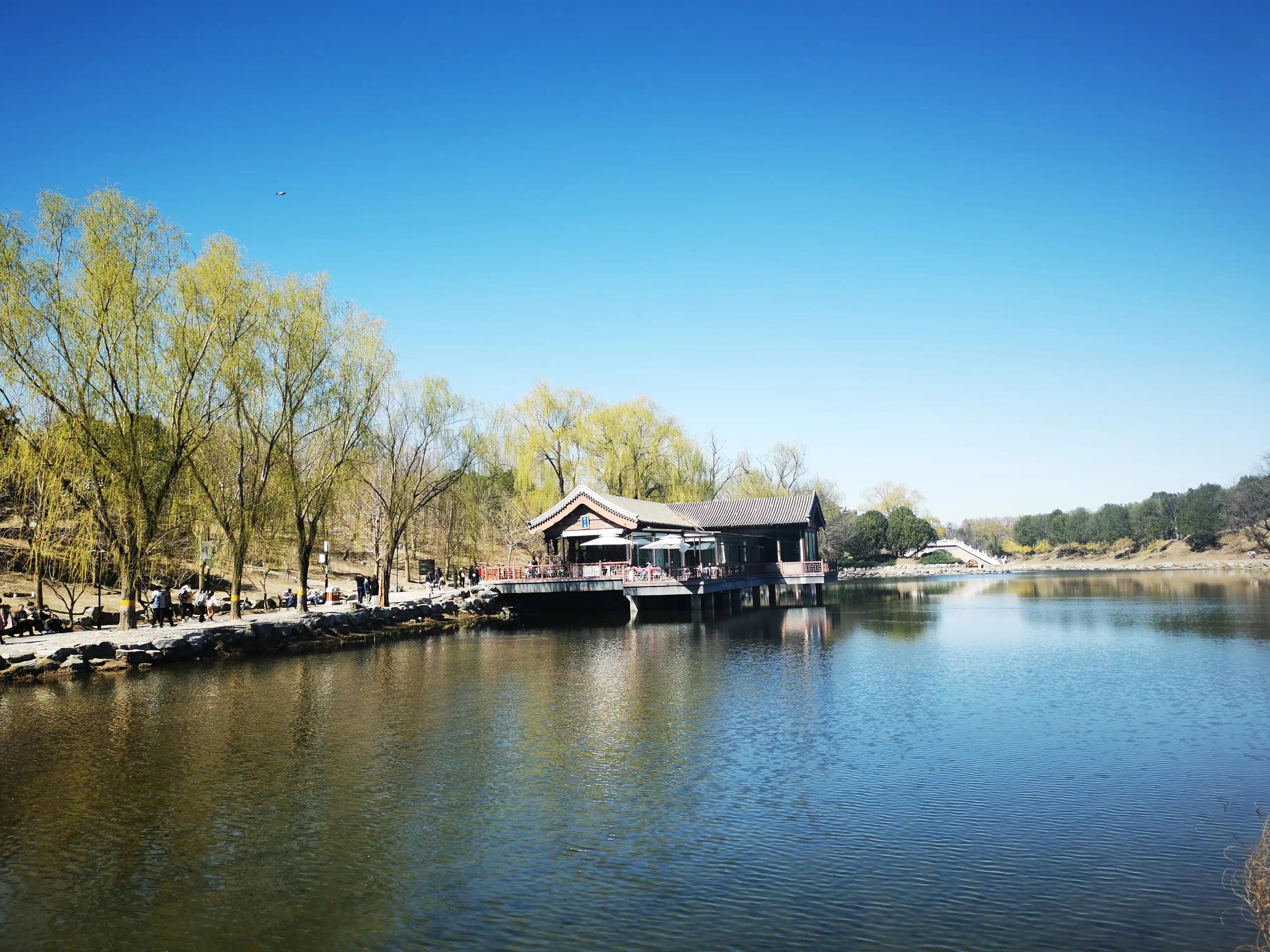 Willow spring breeze on March 3rd, painting bridges and fragrant ...