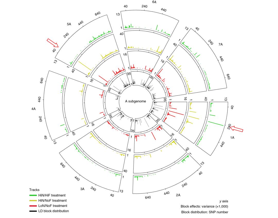 Breeding improves wheat yield at different agrochemical input levels ...