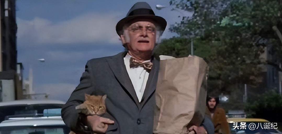 The movie "The Old Man and the Cat", the emotional bond that spans the ...