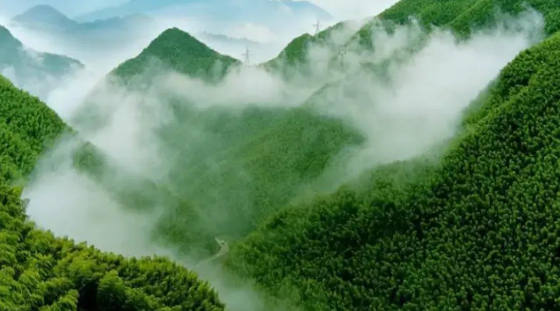 Where is the source of the Huangpu River?Longwang Mountain in Anji ...