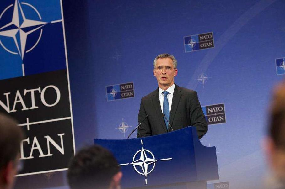 NATO Secretary-General's cronies issued an order: Ukraine can join NATO ...