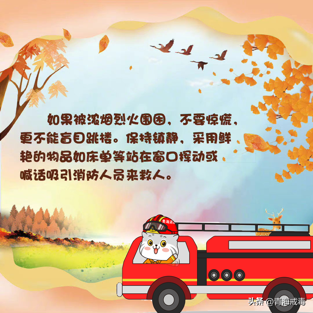 [Emergency Science Popularization] Autumn is a good season, keep in ...