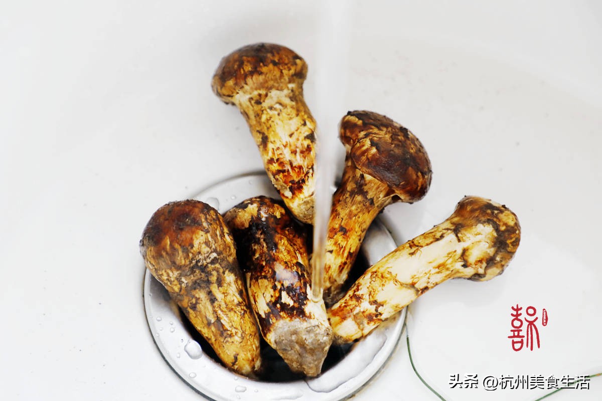 It's another mushroom season, let's make a fresh and appetizing ...