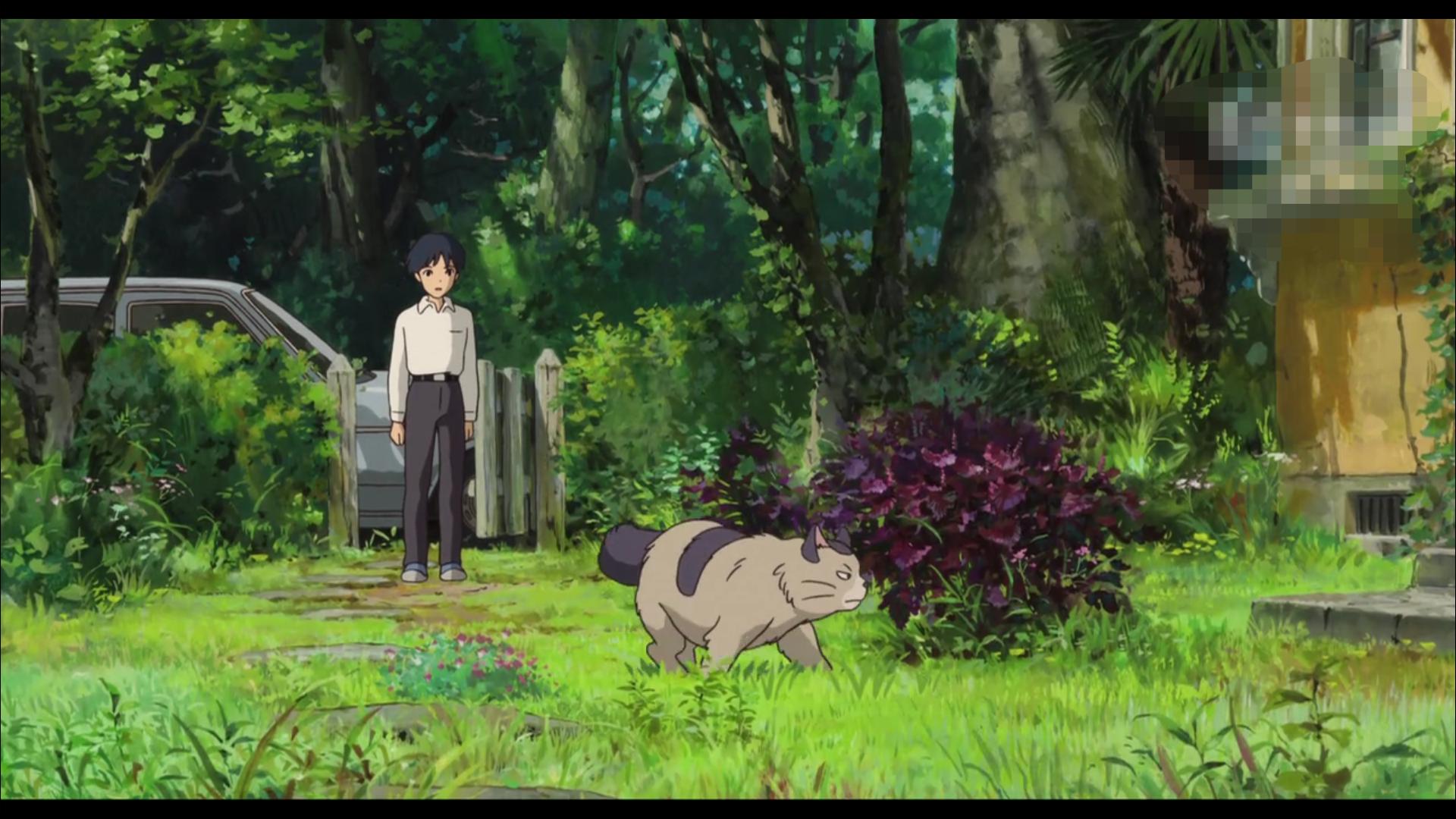 "The Borrowed Dwarf Ariati" is an anime that releases a busy mood. You ...