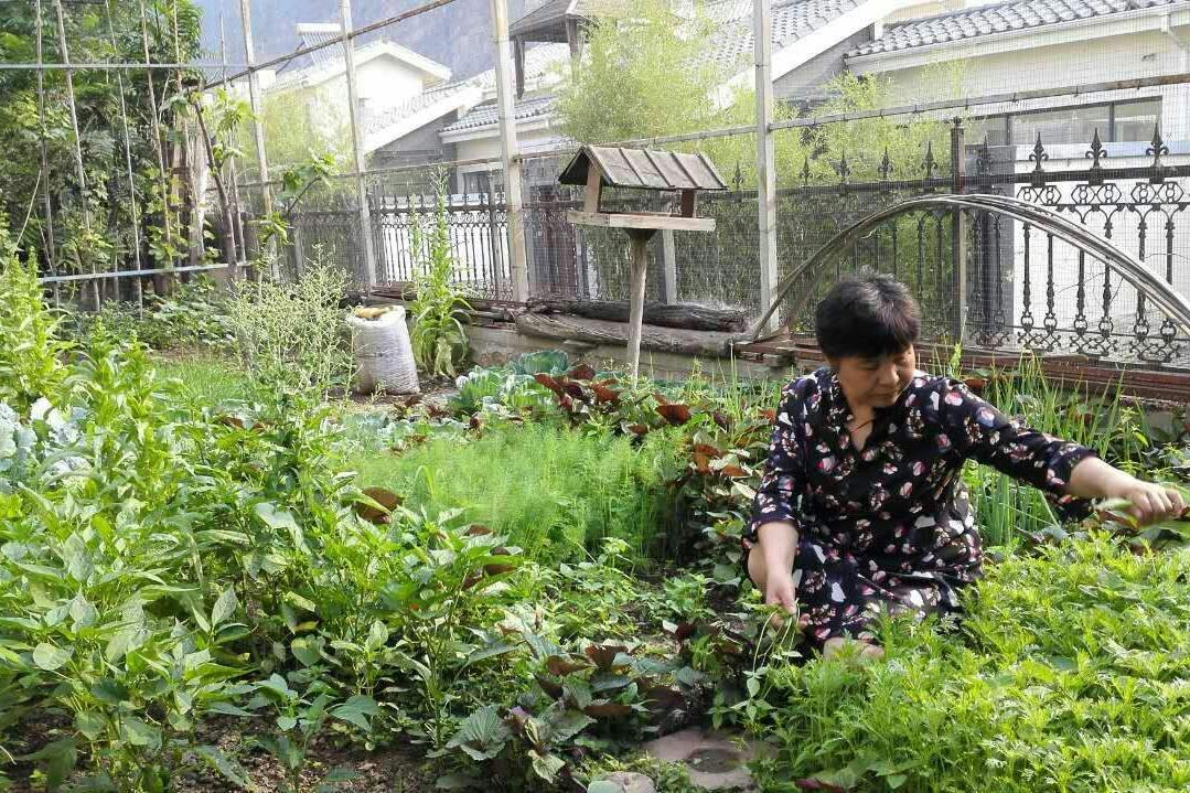 Zhifang Zhouyi·Fuchu Sixth pulls Maoru, and its rendezvous, Zhen Jiheng ...