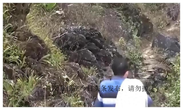 In 1986, he killed 73 venomous snakes. Five years later, he was ...