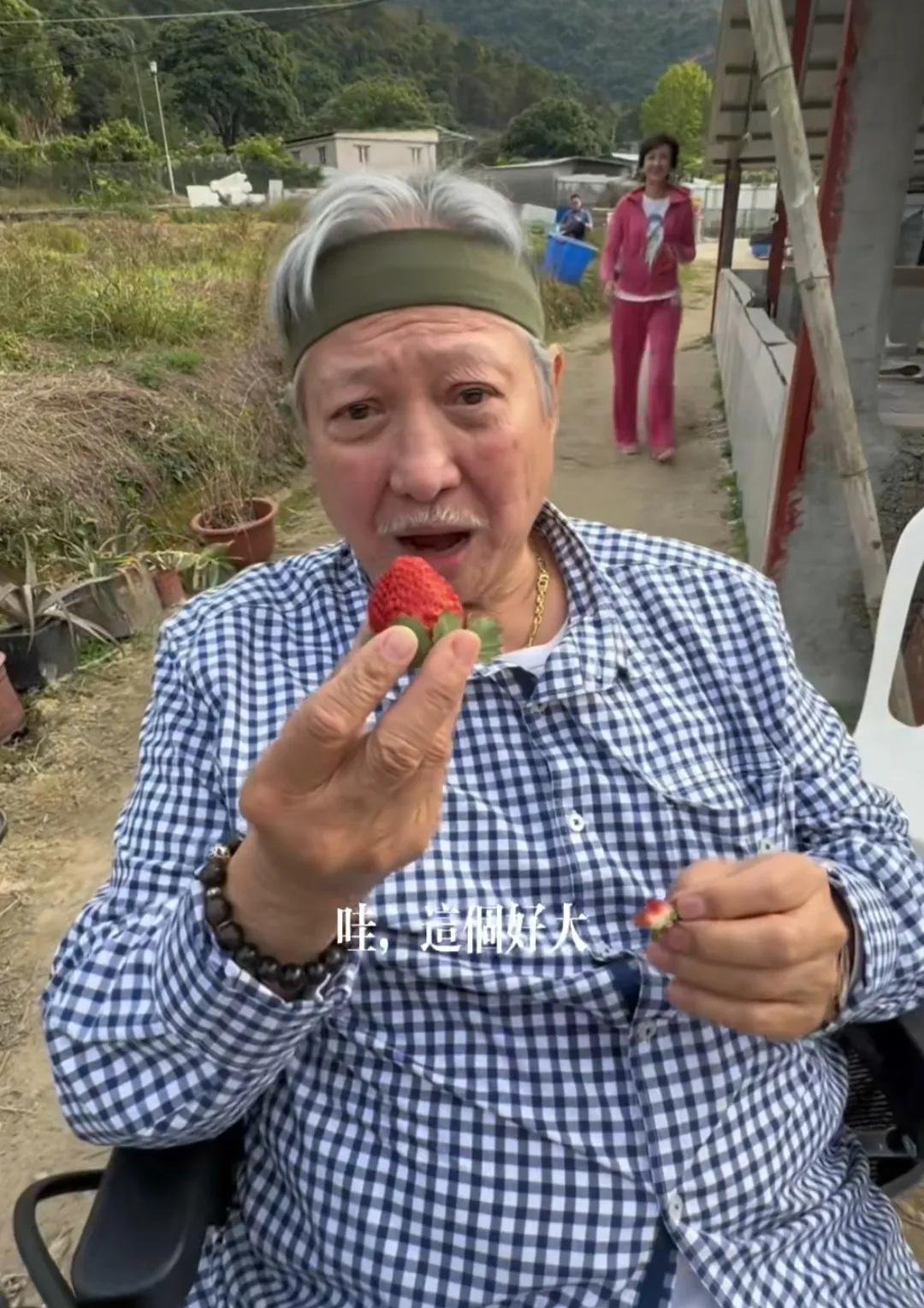 Sammo Hung's 71st Birthday Celebration Screen Exposure!The face is full ...