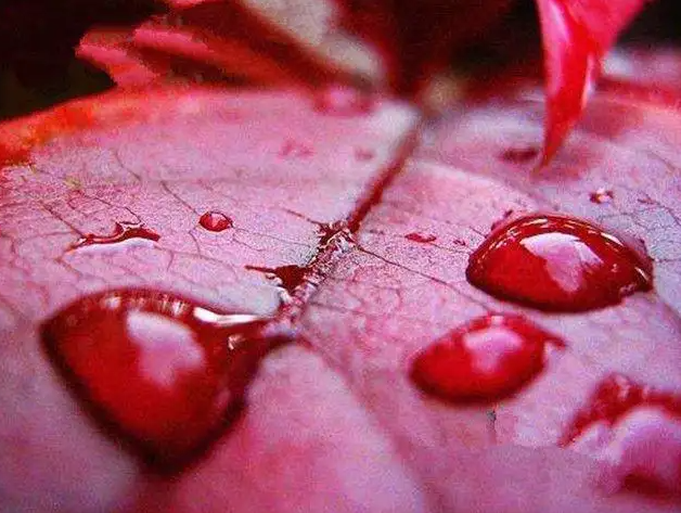 Top 10 Rare Natural Phenomena, Blood Rain, Fire Tornadoes That Kill ...