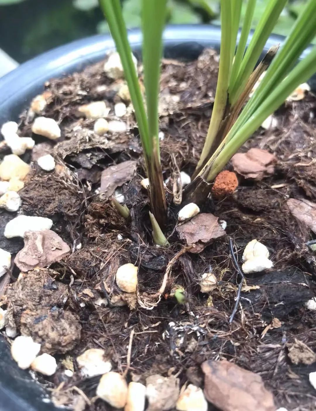 Pick a sunny day, find an outdoor cement field, and try to make "hard ...