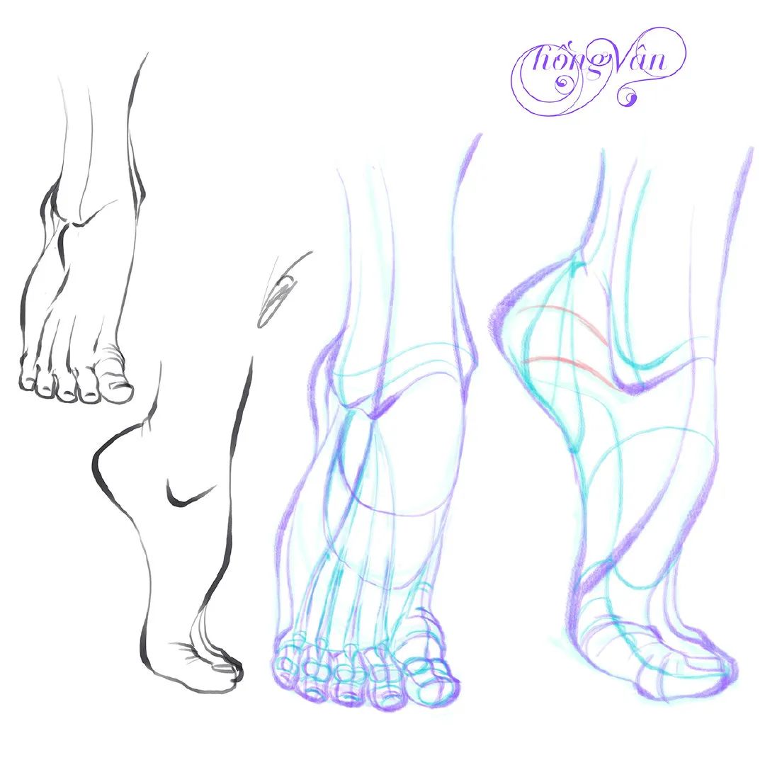 "Painting Reference" Human foot drawing reference shared by painter ...