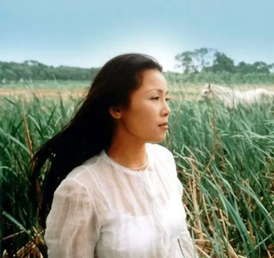 The "disappearance" of 56-year-old Tian Zhen is a loss to the ...