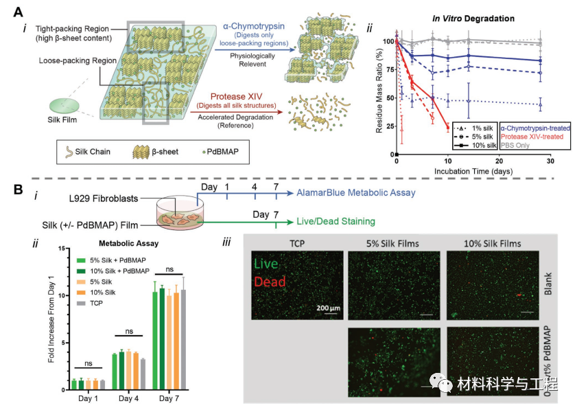 "AFM》: Degradable silk-based subcutaneous oxygen sensor - iNEWS