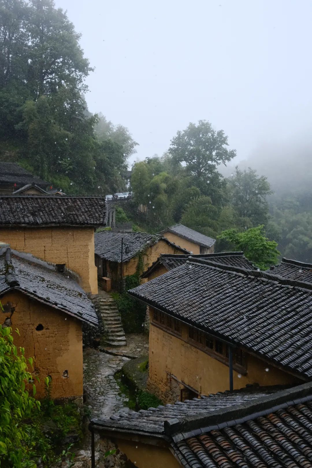 Self-drive from Youbu to Lishui, enjoy the double happiness of carbon ...