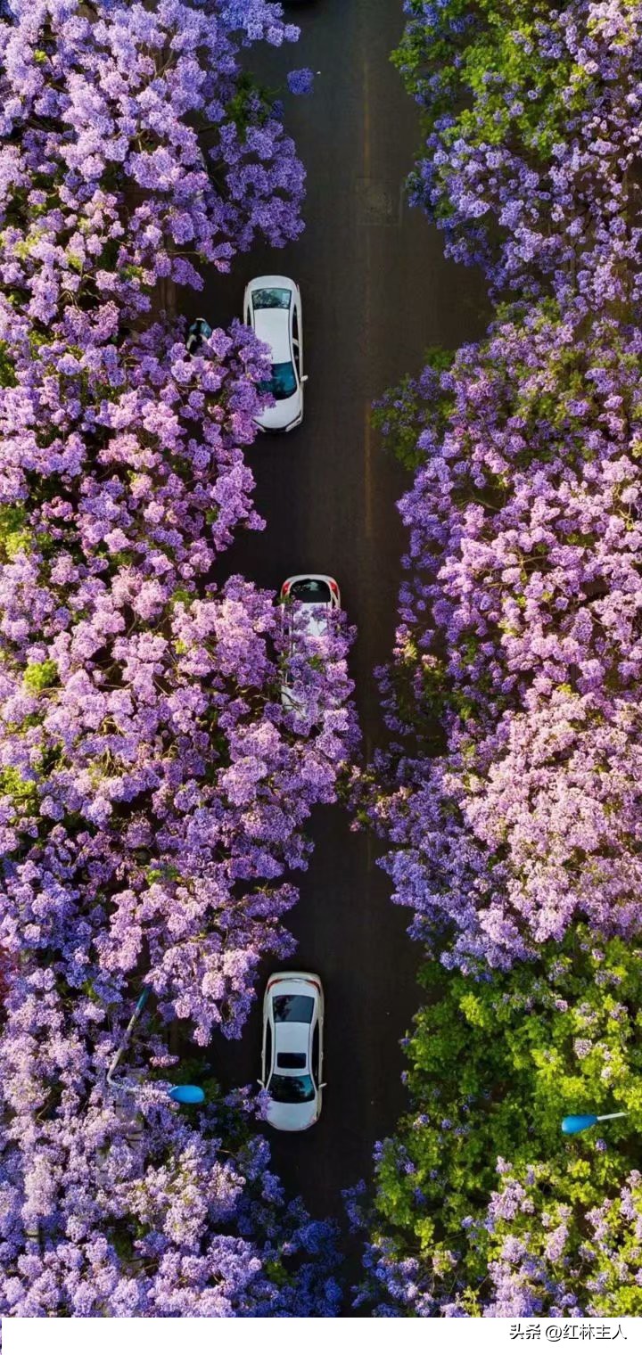 Mo Xian, Chapter 60 of "Han Feizi - Jie Lao" by Honglin Wudao - iMedia