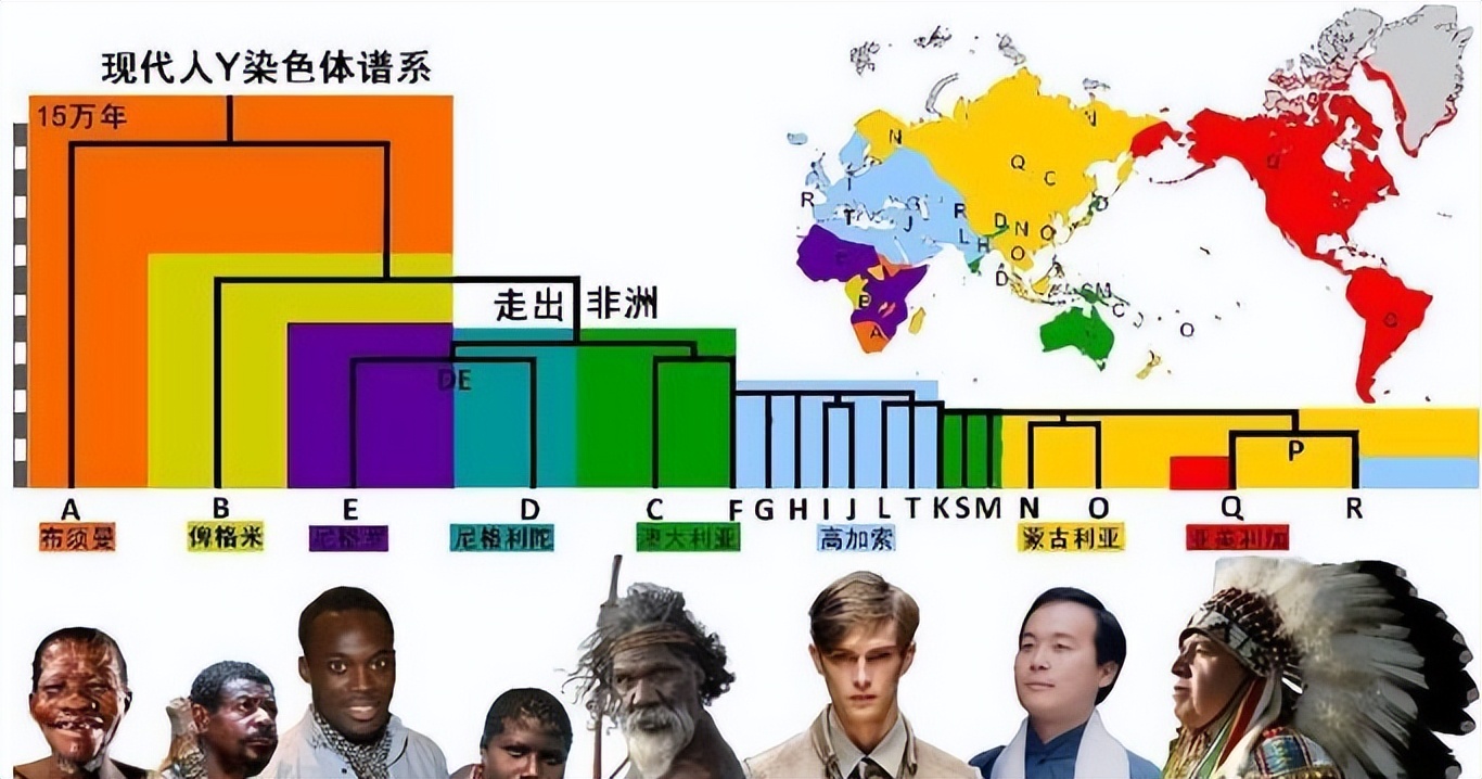 Fudan publishes the genetic map of Chinese people in "Nature", will it ...